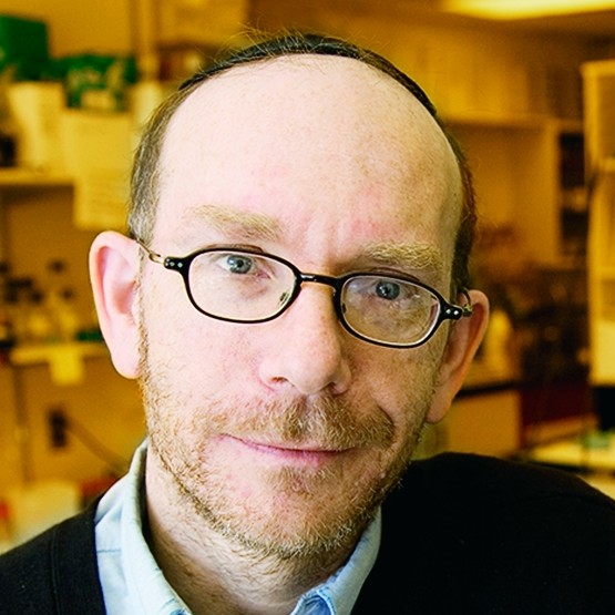 L’adversité en début de vie touche l’ADN cérébral – Association ...