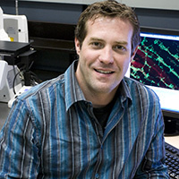 Scientists discover new way to protect neurons during stroke – Canadian ...